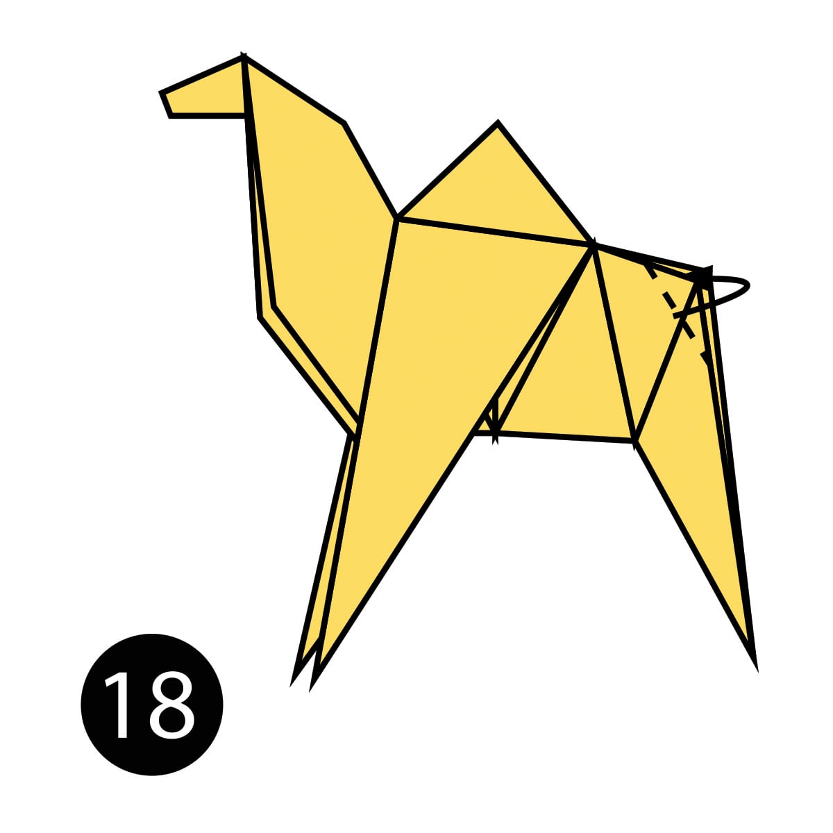 Camel Origami
